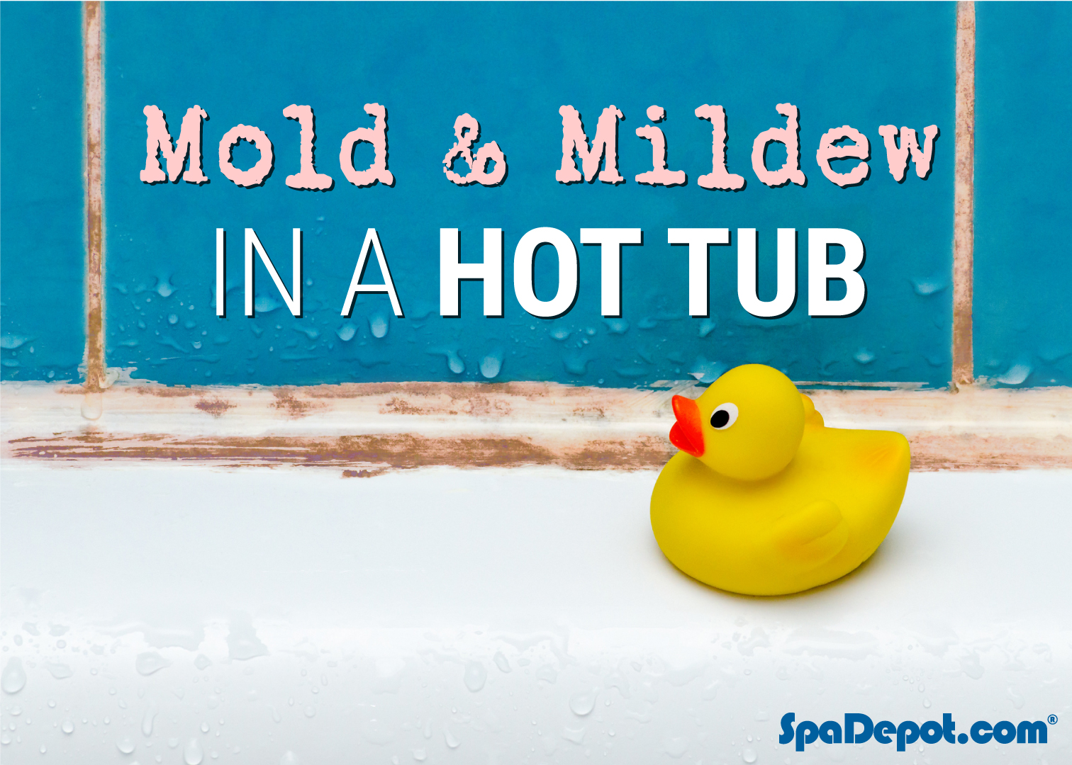 Mold and Mildew in a Hot Tub – Hot Tub Blog | SpaDepot.com