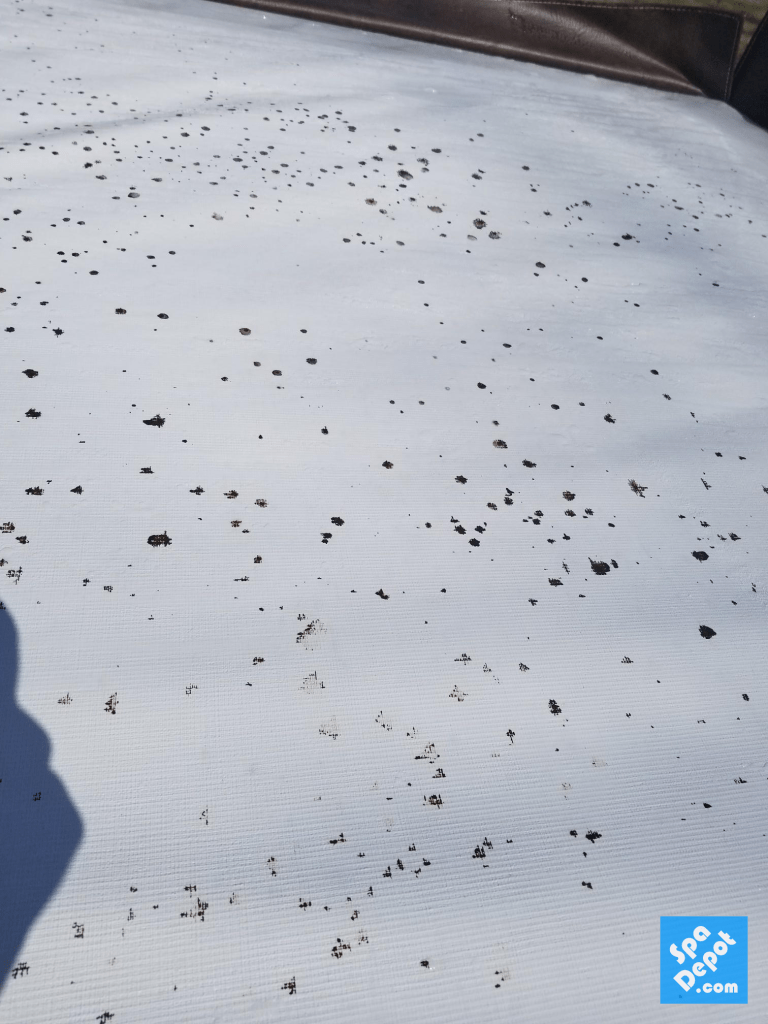 Mold and Mildew in a Hot Tub – Hot Tub Blog | SpaDepot.com